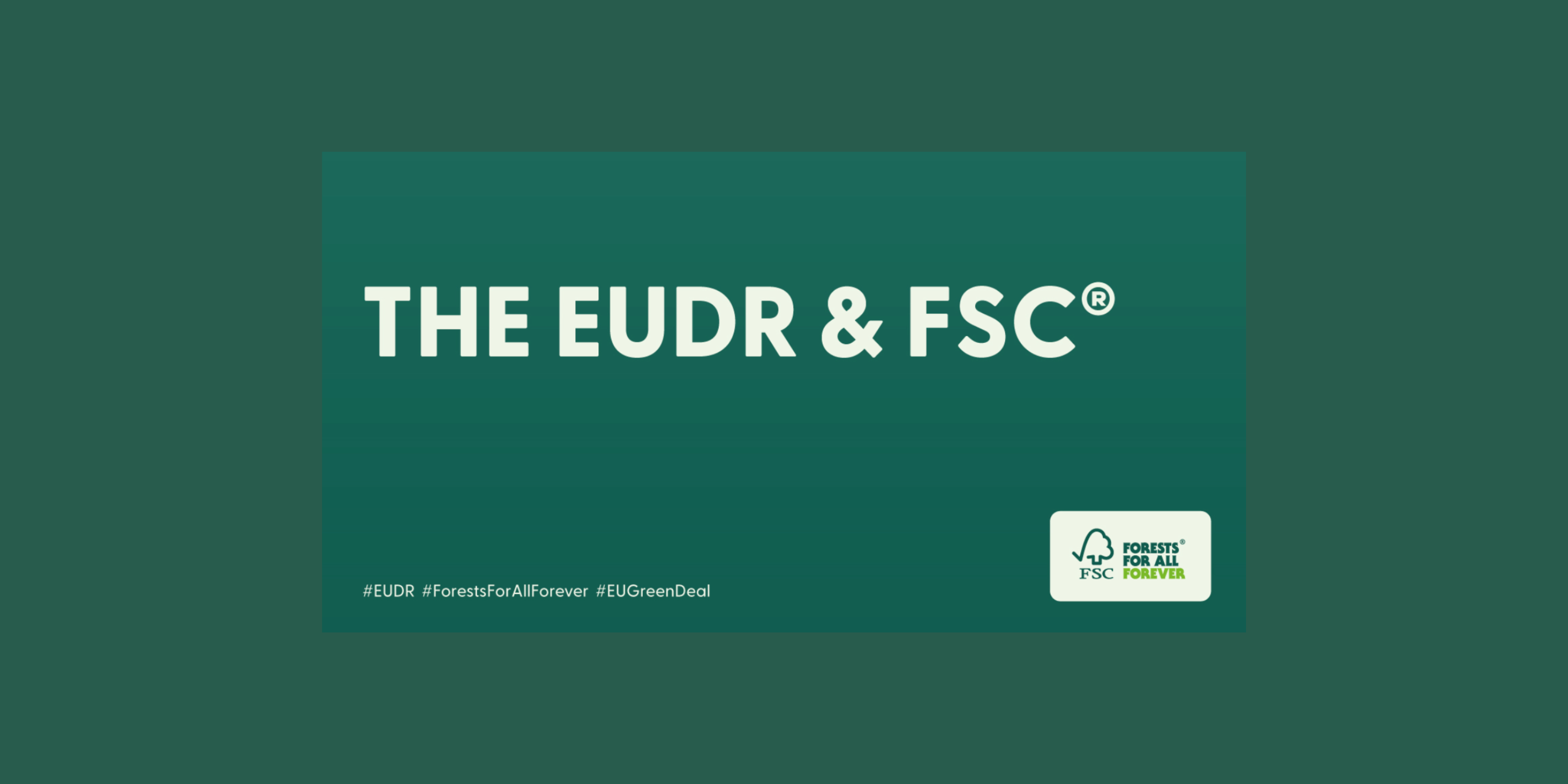 FSC's engagement in the EU Commission EUDR multi-stakeholder platform | Forest Stewardship Council